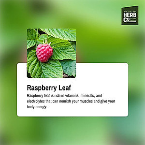 Certified Organic Raspberry Leaf Cut and Sifted 1 LB Bag –100% Natural, Kosher Berries (Rubus idaeus)