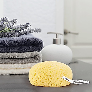 Bath Sponge, 4 Pcs Shower Sponge Loofah Body Scrubber, Shower Sponge Cleaning Loofahs Sponge, Body Sponge for Women Men Kid
