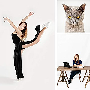 Julius Studio 10 ft. x 20 ft. Large Heavy Duty White Backdrop, Pure White Seamless Background, A+ Grade High Density > Standard, Synthetic Long Life Screen Fabric for Photo Video Studio, JSAG198