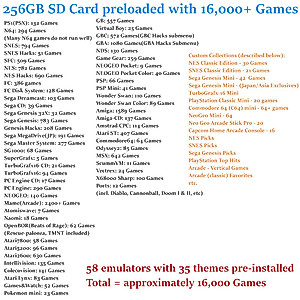 TAPDRA 256G Fully Loaded Micro SD Card for Odroid Go Advance 16000+ Games for OGA RGB10 RK2020 Plug&Play