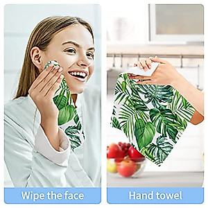 ALAZA Wash Cloth Set Tropical Palm Leaves(29c2) - Pack of 6, Cotton Face Cloths, Highly Absorbent and Soft Feel Fingertip Towels(238rh9a)