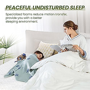 HOXURY Queen Mattress, 12 Inch Hybrid Mattress Queen Size, Memory Foam & Individually Wrapped Pocket Coils Innerspring Mattress in a Box, Pressure Relief & Cooler Sleeping