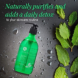 Luseta Tea Tree Shampoo & Conditioner Set 16.9oz each and Tea TreTea Tree Oil Body Wash with Mint 16.9oz