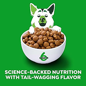 Greenies Smart Essentials Adult Large Breed High Protein Dry Dog Food Real Chicken & Rice Recipe, 30 lb. Bag