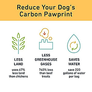 Jiminy's Cricket Treats - Hypoallergenic Dog Treats, 100% Made in The USA, Cricket Dog Treats, Gluten-Free, Sustainable, All Natural Dog Treats, High Protein - Peanut Butter & Blueberry, 6oz Bag