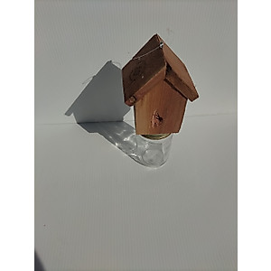 Amish-Made Rustic Carpenter bee catching Device