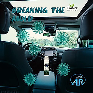 DWD2 Protect™ Automotive Mold Treatment - Revitalize Your Car's Interior The Green Automotive Mold Treatment Solution. Say Goodbye to Unpleasant Odors and Hello to a Fresh and Protected Cabin (FOGGER)