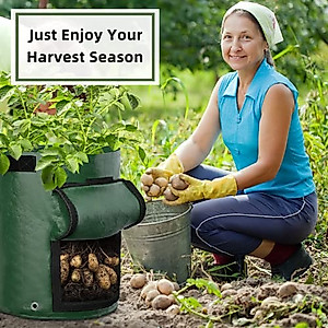 GreatBuddy 10 Gallon Potato Grow Bags 6-Pack, Thick PE Fabric Pots for Plants, Harvest Windows & Sturdy Handles, Labels Included, Green