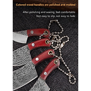 tzprol Mini Knife Set, Mini Pocket Knife Set, Chef Knife EDC Knives Small Knife Cleaver,Box Cutter,Package Opener,Bottle Opener,Keychain Tiny Things with Pocket - Set of 5