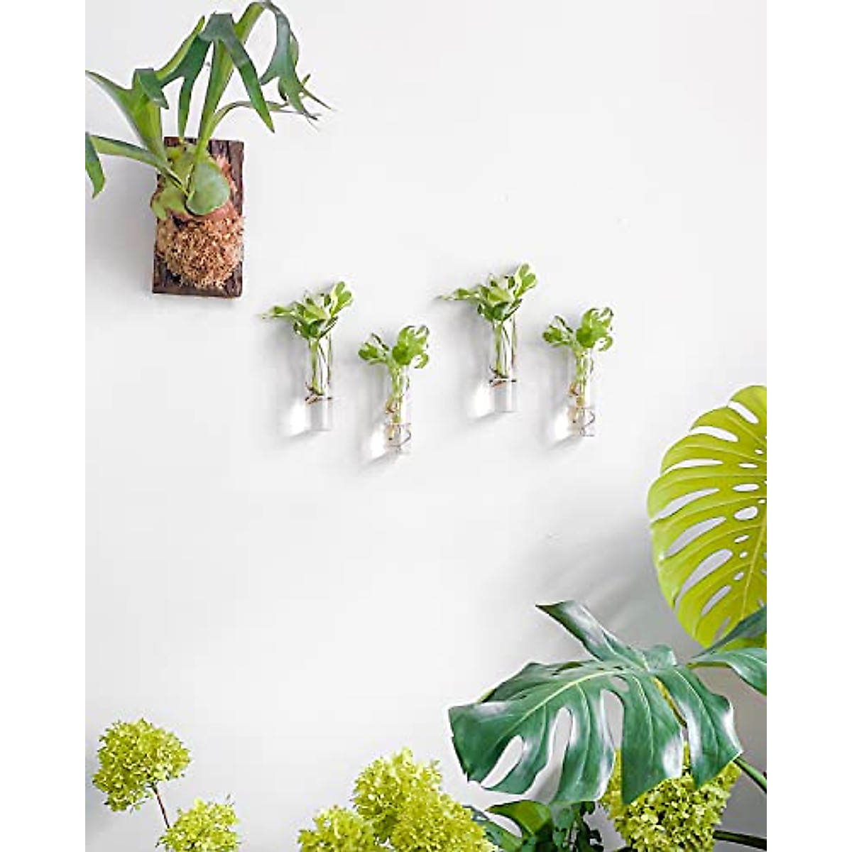 Ivolador 4PCS Wall Hanging Glass Plant Terrarium Container Cylinder Shape Perfect for Propagating Hydroponic Plants Home Office Garden Decor Wedding