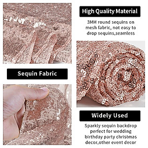 Hahuho Rose Gold Sequin Backdrop Curtain, 4PCS 2FTx8FT Glitter Backdrop Curtain for Parties, Christmas, Wedding, Party Decoration（4 Panels, 2FT x 8FT, Rose Gold