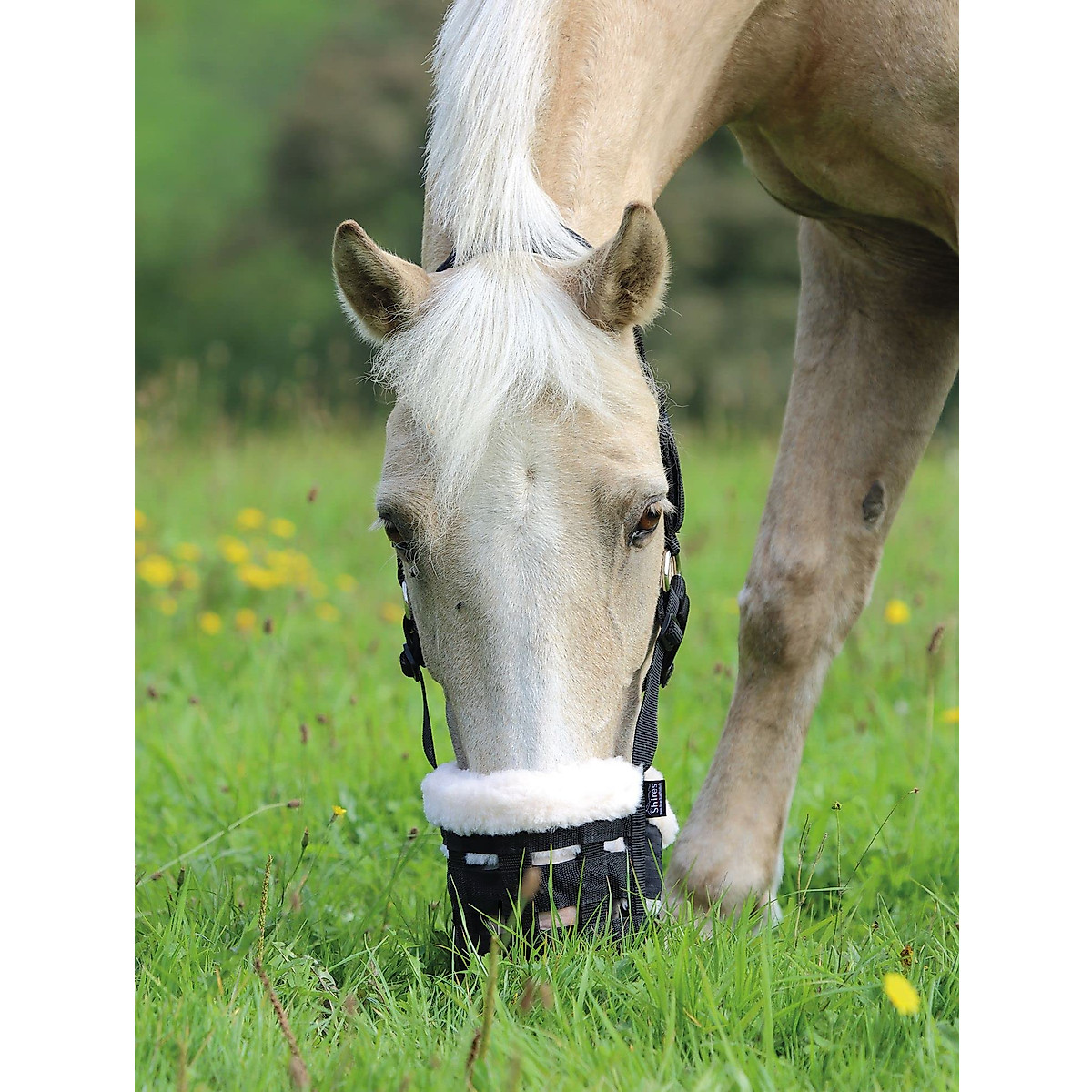Shires Deluxe Grass Feeding Grazing Muzzle Full