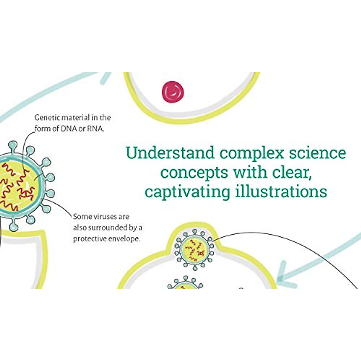 Visual Learning: Biology: An illustrated guide for all ages (Barron's Visual Learning)