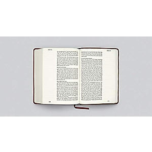 ESV Single Column Journaling Bible, Large Print (TruTone, Burgundy/Red, Timeless Design)