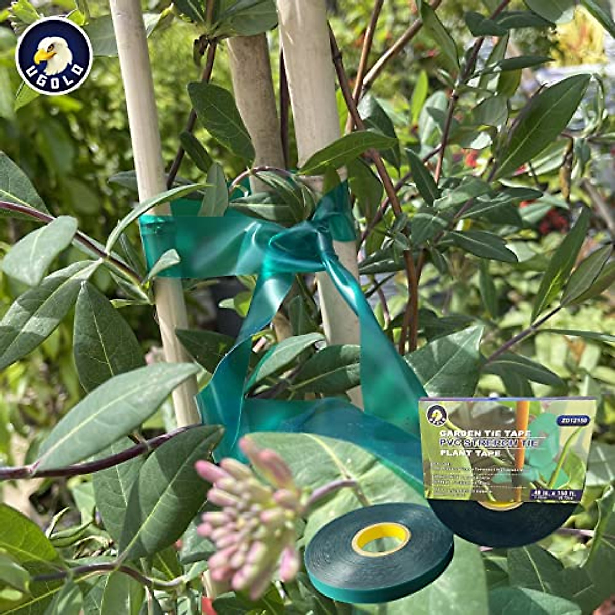 Ugold 8mil Extra Thick 150 Feet x 1/2'' Stretch Plant Tie Tape, Garden Tie Tape for Planting and Grafting, Plant Ribbon for Tomatoes, Grapes and Trees, Green Tie Tape, Garden Stake for Vinyard