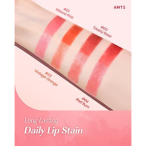 AMTS Tinted Lip Balm - 03 Toasty Rose | Hydrating Lip Butter, Moisturizing Lipstick | Daily Natural Lip Makeup for dry, cracked, chapped lips | korean beauty Lip Tint