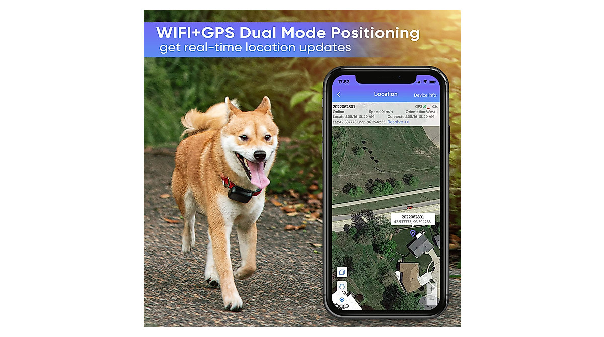 4G LTE GPS Tracker for Dogs - Real-time Tracking