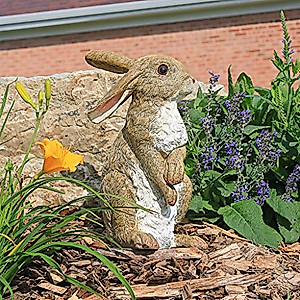 Design Toscano QM9200681 Hopper, The Bunny, Standing Garden Rabbit Statue, Pack of 2, Full Color