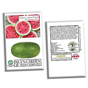 Charleston Grey Watermelon Seeds for Planting, 30+ Heirloom Seeds Per Packet, (Isla's Garden Seeds), Non GMO Seeds, Botanical Name: Citrullus lanatus, Great Home Garden Gift