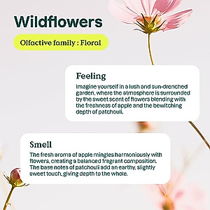 ATTITUDE Laundry Detergent, Plant and Mineral-Based Formula, He, Vegan and Cruelty-free Washing Machine and Household Products, Wildflowers, 80 Loads, 67.6 Fl Oz