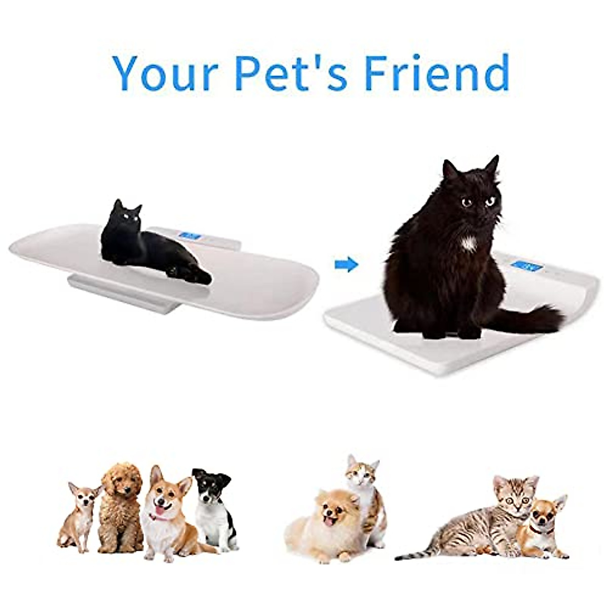 KAZETEC Baby Scale, Pet Scale, Multi-Function Digital Scale Measure Toddler/Adult/Puppy/Cat/Dog Weight(Max:220LBS) and Height(Max:70CM) Accurately, Precision at ± 10g, KG/LB/OZ, Blue Backlight