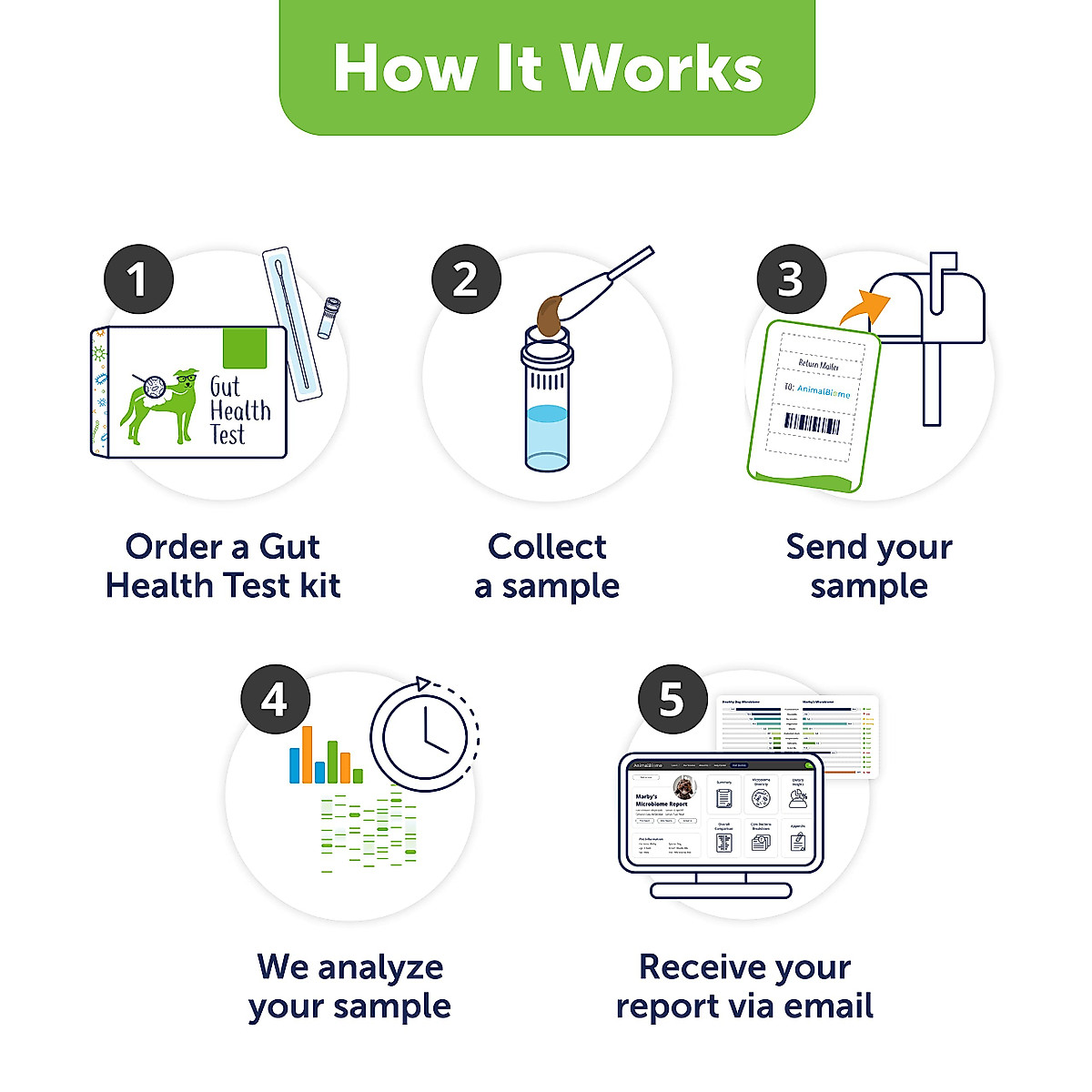 AnimalBiome Dog Probiotics Test Kit - Gut Microbiome Health Test - DoggyBiome