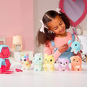 Little Live Pets 30150 Scruff-a-Luvs Babies Release, Reveal, Groom & Love Plush Rescue pet, Classic