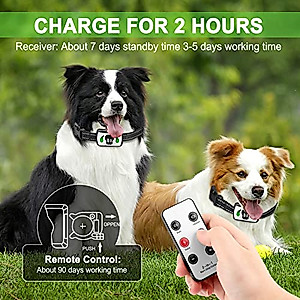 [2023 Upgrade] Bark Collar with Additional Mini Remote - Dog Bark Collar with 4 Training Modes - IPX7 Waterproof Dog Shock Collar for Indoor, Garden & Courtyard, Safe Bark Collar for Most Breed Sizes