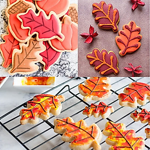 LUBTOSMN New Large Thanksgiving Cookie Cutter Set-5 Pieces-Turkey, Pumkin, Apple, Maple Leaf and Oak Leaf-Fall Holiday Cookie Cutters Fondant Biscui Cutters
