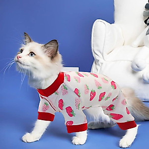 Rypet Small Dog Pajamas 2 Pack - Cute Cat Pajamas Onesie Soft Puppy Rompers Pet Jumpsuits Cozy Bodysuits for Small Dogs and Cats（Blue + Red）