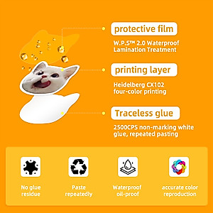 100 Pcs Cute Cat Stickers for Kids, Waterproof for Kids,Vinyl for Water Bottle,Laptop,Phone,Skateboard Stickers for KidsTeens Girls and Boys