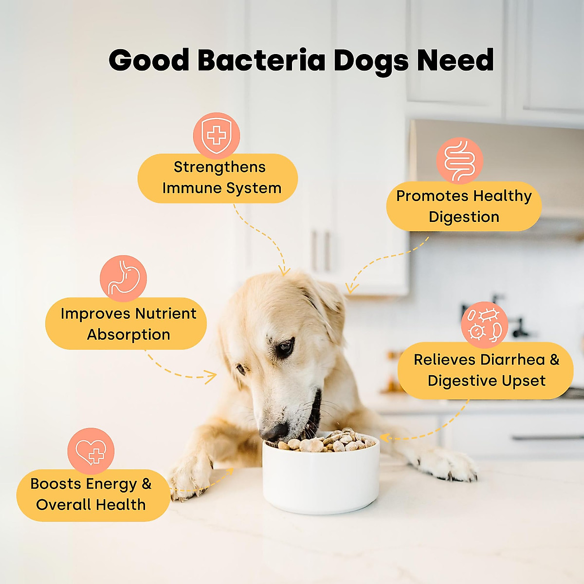 Kayode Lickable Probiotics for Dogs - Strong Dog Digestive Aid & Dog Diarrhea Relief. for Dog Lick Mats Or As Food Topper. Tasty Banana Coconut Flavor. 7 Dog Probiotic Strains.