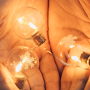 lamphle LED Decorative Non-Glaring Fairy Lights, Battery Powered 4 Styles Glass Night Light, Bulb Shape Scene Layout Attractive Fall Garland with Lights Elk