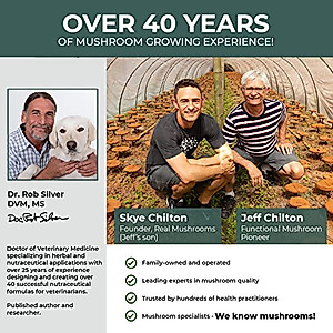 Turkey Tail Pet Support - Dog Multivitamins and Supplements for Immune Support, Gut Health & Wellness - Grain-Free, Gluten-Free, Vet-Approved Dog Supplement (90ct)