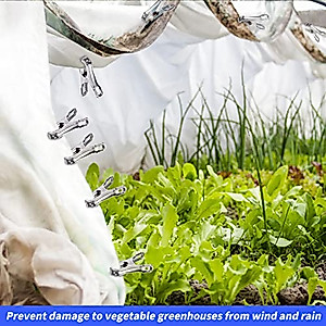 60 PCS Garden Stainless Plant Clips,2-inch Heavy Duty Garden Clips Greenhouse Clips Have a Strong Grip for Fixing Netting Cover Film and Climbing Plants