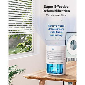 Dehumidifier - 27 oz(800ml) Small Dehumidifiers for Home Bedroom Bathroom Basements Closet RV Room, 2200 Cubic Feet Full Auto-Off Portable Electric Mini Dehumidifier for Space Up to 190 sq ft