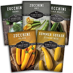 Survival Garden Seeds Zucchini & Squash Collection Seed Vault - Non-GMO Heirloom Seeds for Planting Vegetables - Assortment of Golden, Round, Grey, Black Beauty Zucchinis, Straight Neck Summer Squash