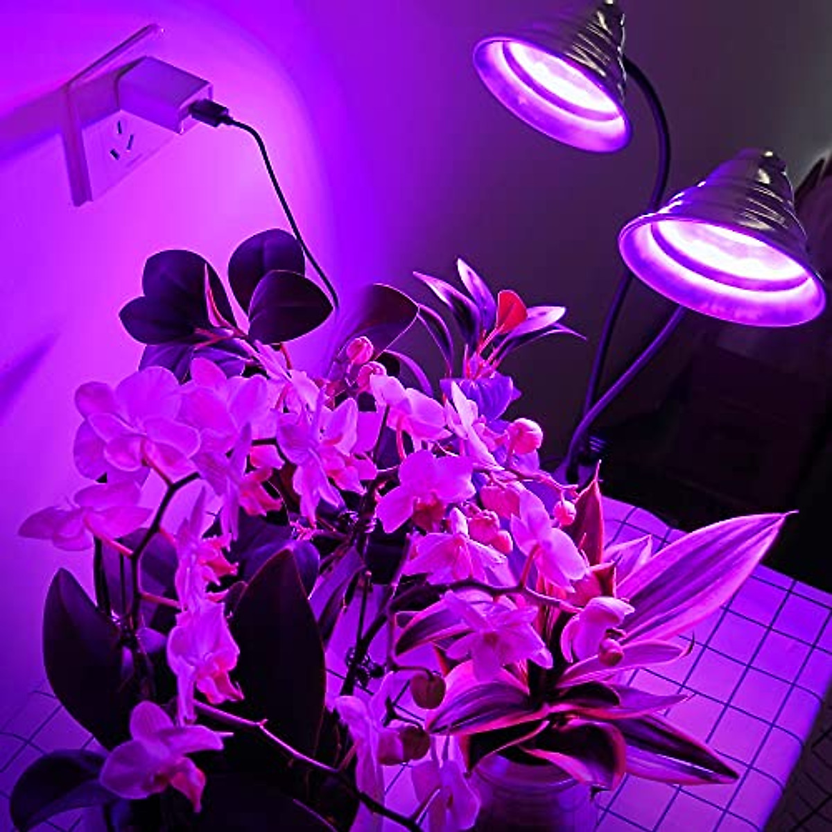 Briignite Grow Light, LED Grow Lights for Indoor Plants, Full Spectrum Plant Light, Grow Lamp with 3 Full Spectrum Modes, 10-Level Dimmable, Auto On Off Timing 3/9/12Hrs, Dual Heads