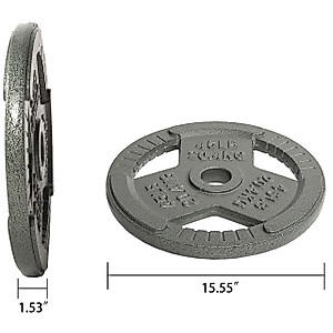 Sporzon! Powergainz Olympic 2-Inch Cast Iron Plate Weight Plate for Strength Training and Weightlifting, Gray POG-2INIP-45X2