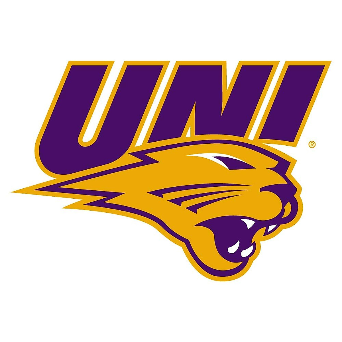 Popfunk University of Northern Iowa Logo Repeat - UNI Panthers Home 1-Ply Reusable Face Mask Covering with Adjustable Nose Wire, Unisex