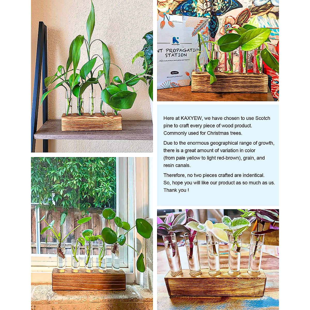 KAXYEW Plant Propagation Station, Plant Propagation Tubes, Gifts for Plant Lovers Office Desk House Garden Décor Plant Terrarium with Wooden Stand