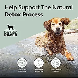 Four Leaf Rover Protect - Soil-Based Probiotics for Dogs with Food-Based Prebiotics for Gut Health and Immune Support - 12 to 60 Day Supply, Depending on Dog’s Weight - Vet Formulated