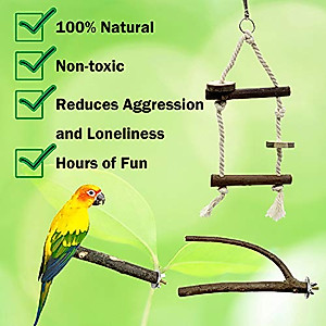 EBaokuup Bird Parrot Perch Stand Set - 10 PCS Natural Wood Bird Parakeet Stand Branch, Fork Perch Rod Stand Paw Grinding Stick Bird Cage Accessories for Pet Budgies Cockatiels Conure Lovebirds