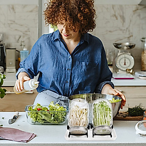 Tebery Complete Mason Jar Sprouting Kit - 2 Wide Mouth Quart Sprouting Jars with 316 Stainless Steel Screen Sprouting Lids, Melamine Tray and Stand | Seed Sprouter Set for Broccoli, Alfalfa, Mung Bean