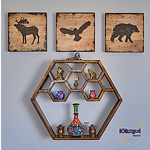 Luksyol Floating Wall Shelves Unique Design Bedroom Shelves, Honeycomb, Hexagon Shelf Wall Mounted, Kitchen Wall Shelves Handmade Wall Shelf for Bedroom from Natural Wood with 3 Cactus Pots