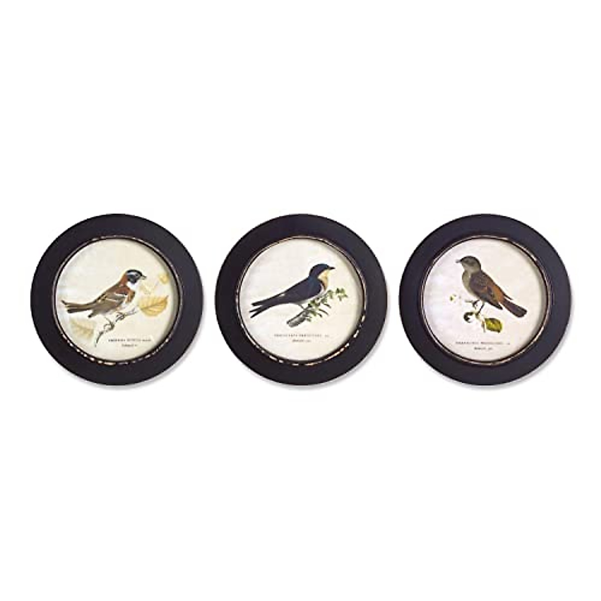 Melrose Modern Home Decorative Framed Bird Print (Set of 3) 9.5" D MDF
