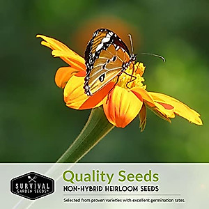 Survival Garden Seeds Pollinator Flower Collection - 3 Flower Seed Packs for Attracting Butterflies, Bees and Hummingbirds - Nectar & Pollen Rich Perennial & Annual Wildflowers - Non-GMO Heirloom