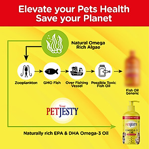 PetJesty Pure Omega 3 Oil for Dogs & Cats 26.39oz - Omega 3 Skin & Coat Support- Liquid Food Supplement for Pets - Vegan pet + DHA for Joint Function, Immune & Heart Health, Non Fish Oil Dog and Cat