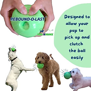 Bark N Bounce: The Interactive Dog Toy Ball That Bounces and Laughs, Engaging Your Dog's Natural Instincts | Small/Medium 3.75in | Dogs 30lbs and Under