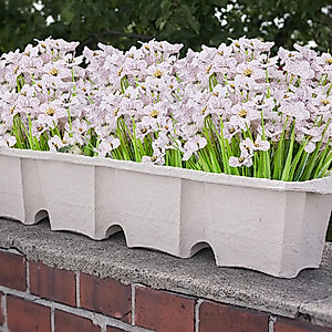 URSTOUD 6 Bundles Artificial Orchid Flowers, Fake Artificial Greenery UV Resistant No Fade Faux Plastic Flowers for Wedding Bridal Bouquet Indoor Outdoor Home Garden Kitchen Office Table Vase(White)